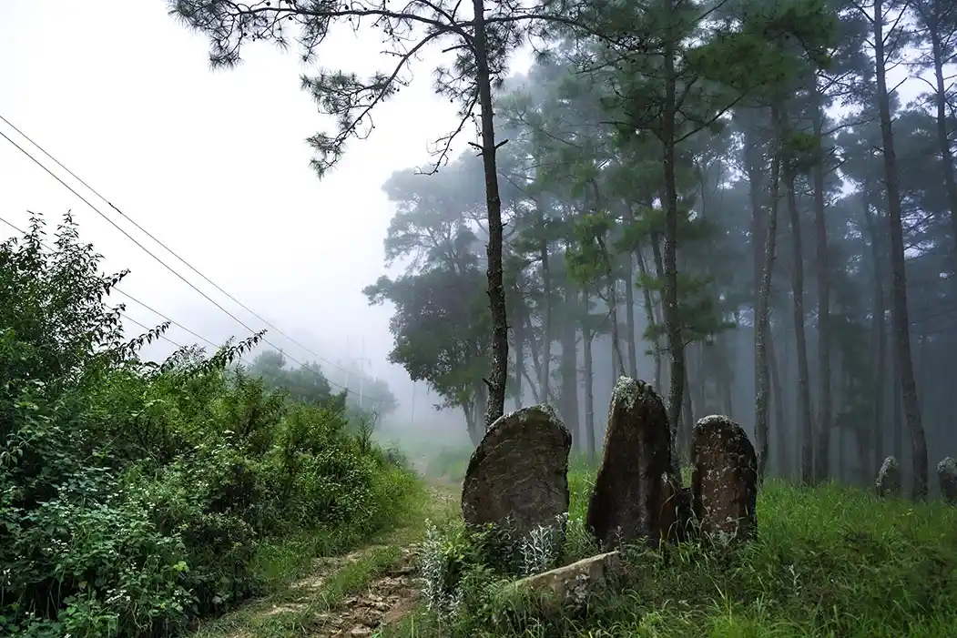 The Meghalayan Trail