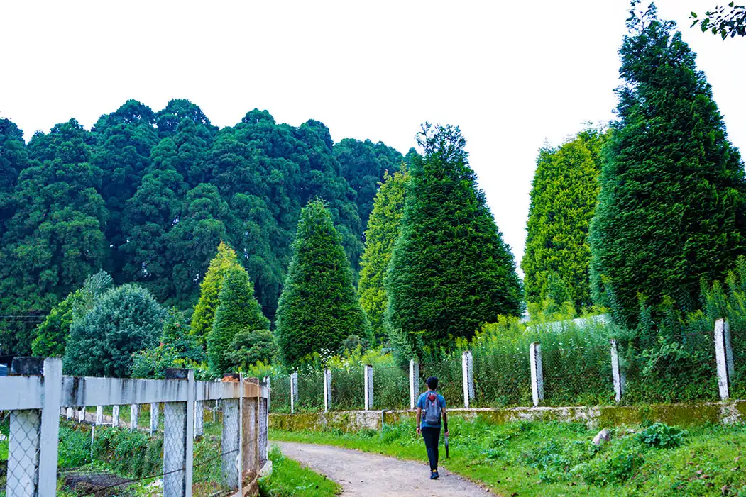 The Meghalayan Trail