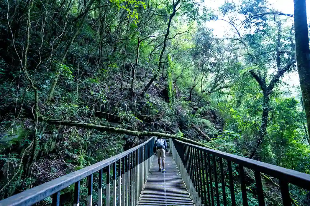 The Meghalayan Trail